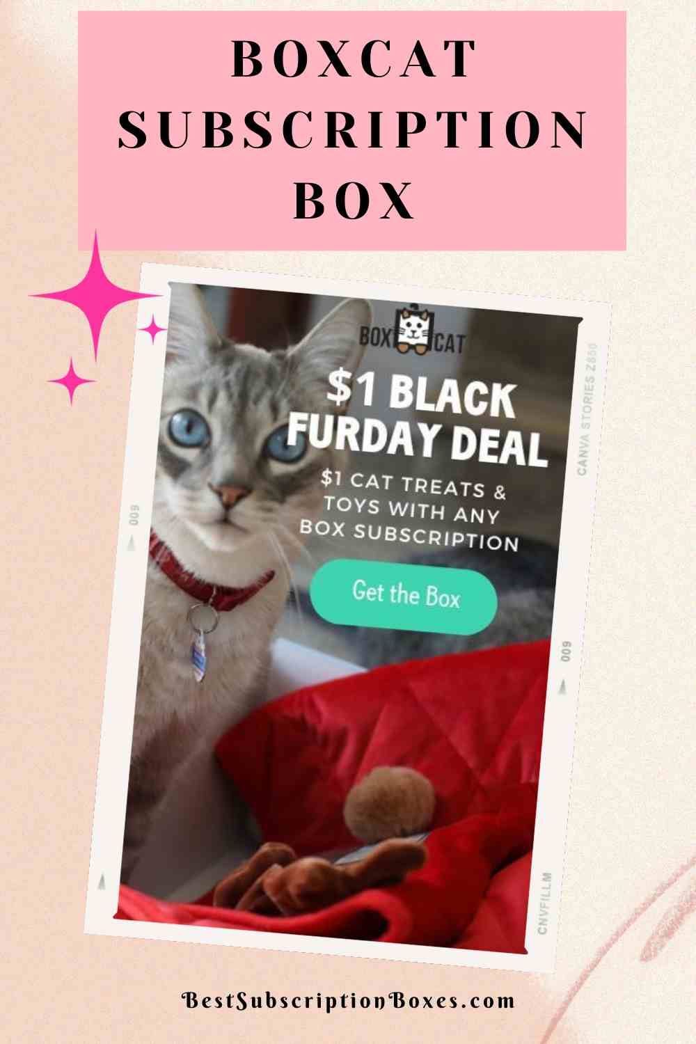 BoxCat Subscription Box - Best Subscription Boxes