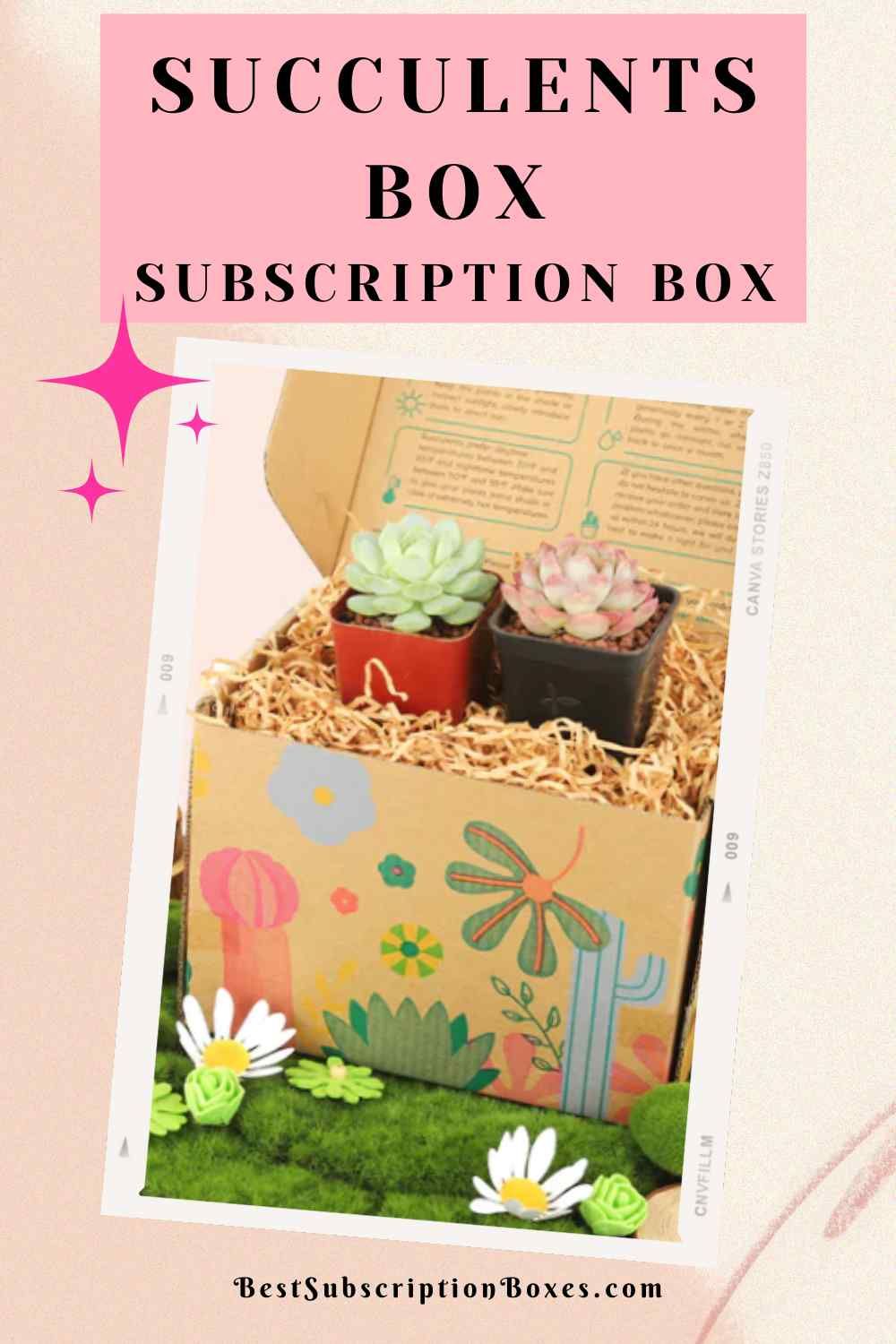 The Succulents Box Subscription Box